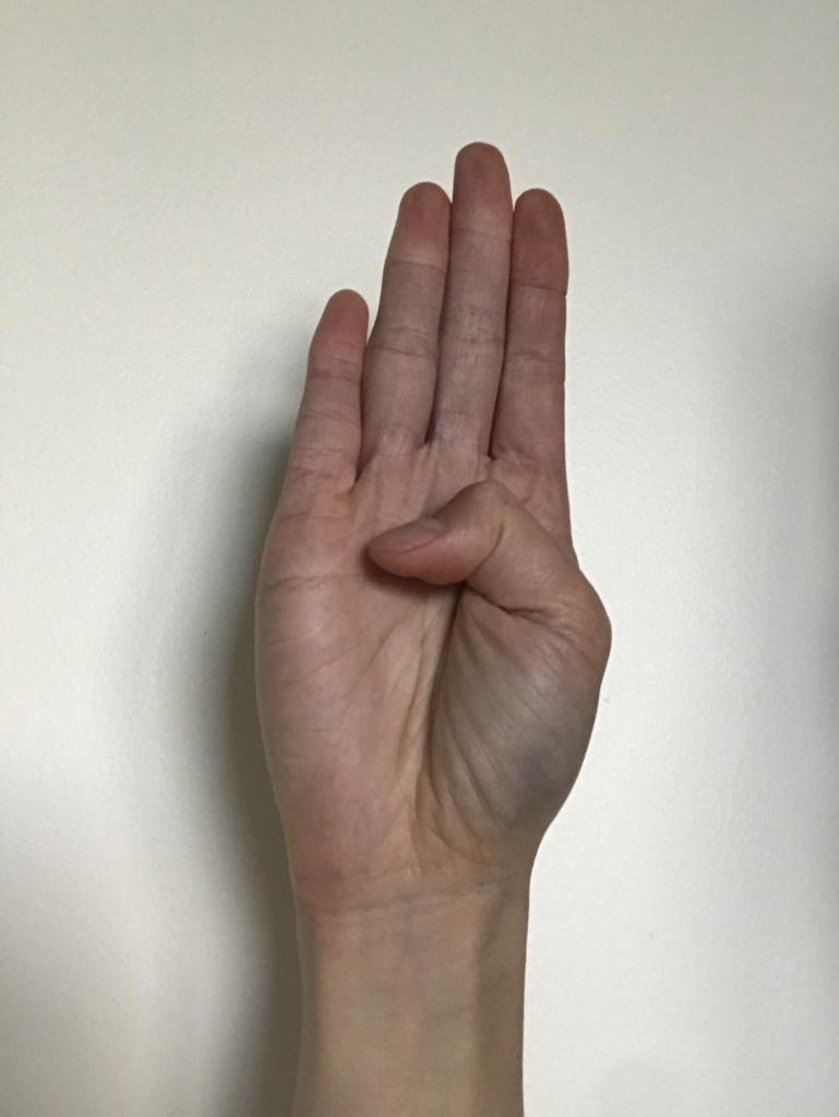 The Hand Model of the Brain Blog #12 - The Big Picture Therapy